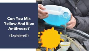 Can You Mix Yellow And Blue Antifreeze? (Explained!)