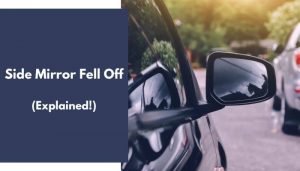 Side Mirror Fell Off: What to Do? (Explained!)